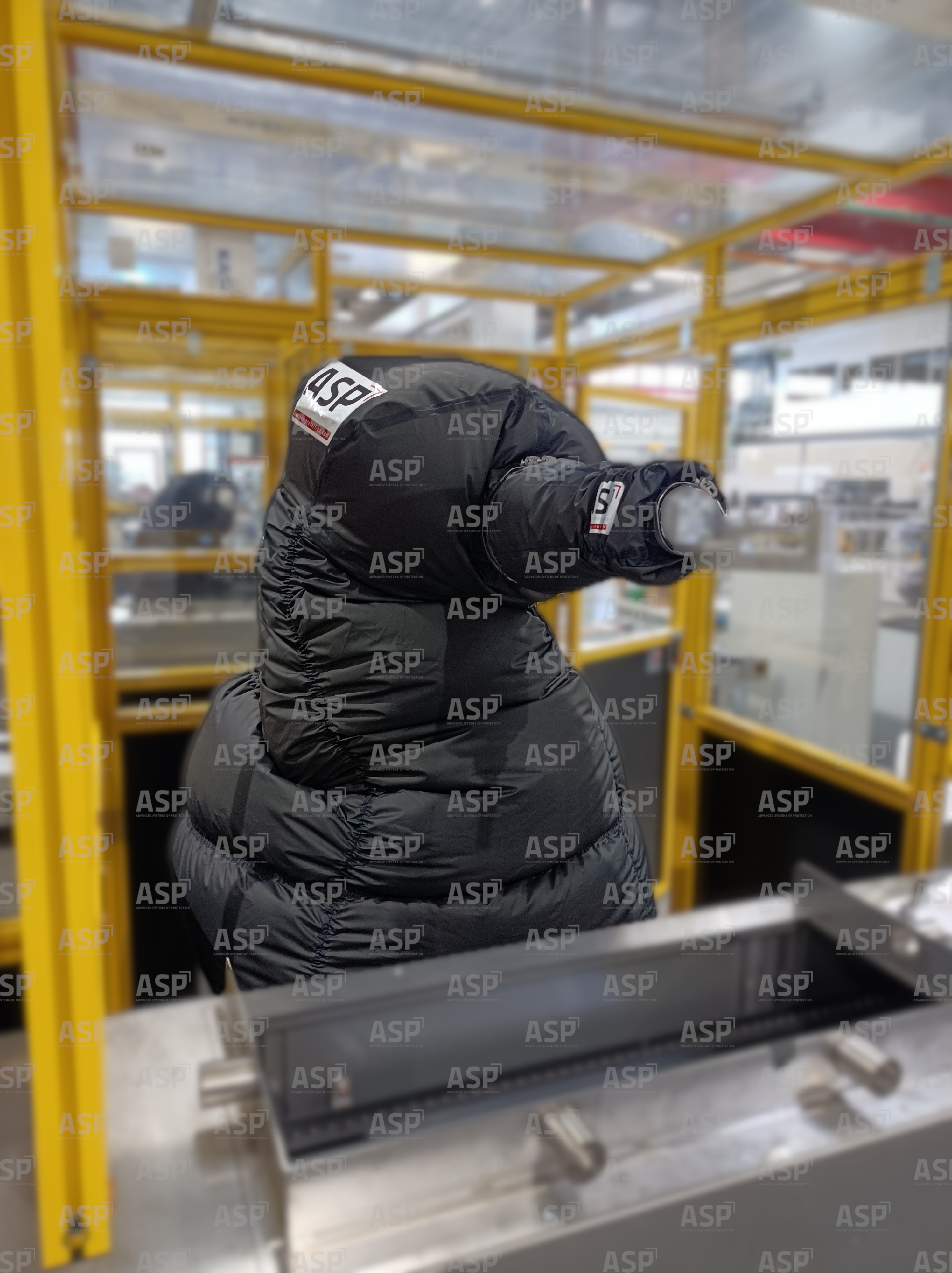 ATEX: Explosive atmospheres - ASP Protection